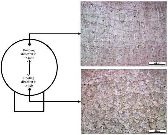 Metals | Free Full-Text | Structure, Texture and Phases in 3D Printed IN718 Alloy Subjected to ...