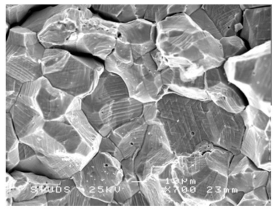 Overview of Intergranular Fracture of Neutron Irradiated Austenitic ...