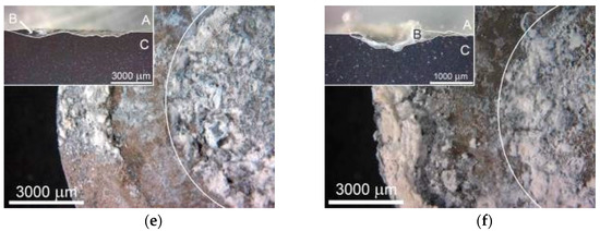 Metals | Special Issue : Biodegradable Metals