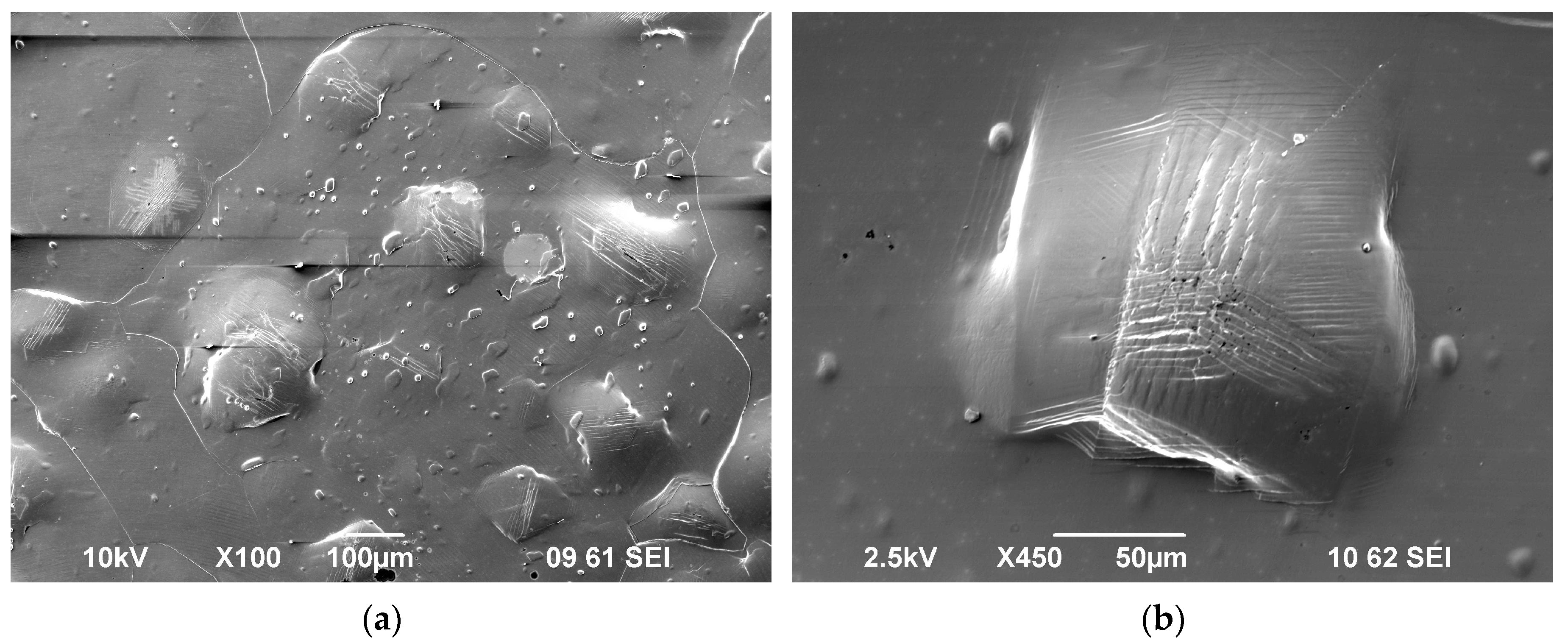 Electron Microscope Proton