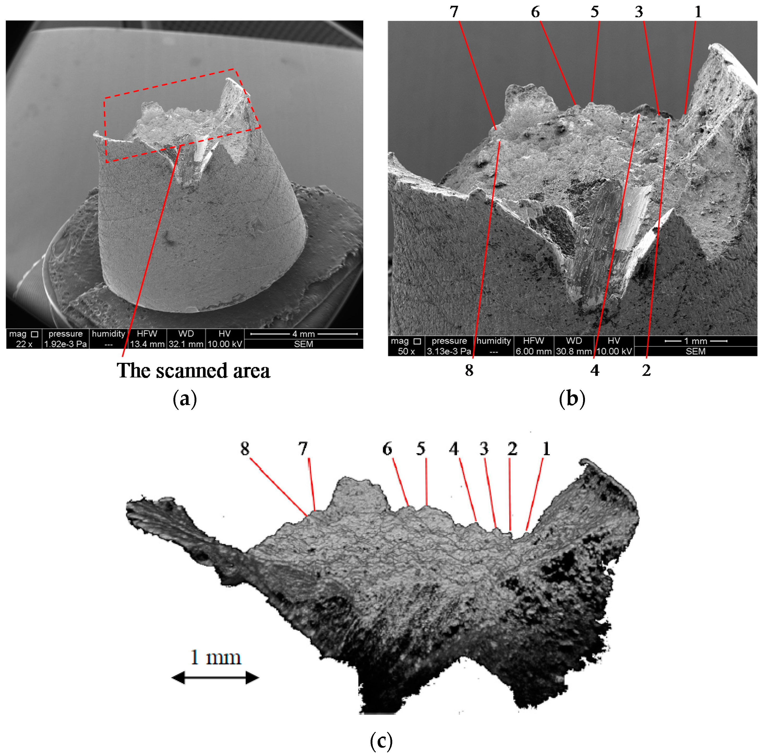 Metals Free Full Text Assessment Of Ductile Brittle And Fatigue