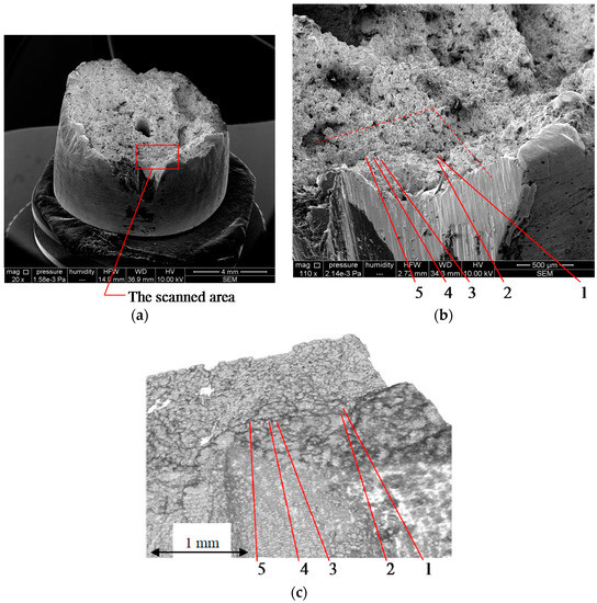Assessment of Ductile, Brittle, and Fatigue Fractures of Metals Using ...