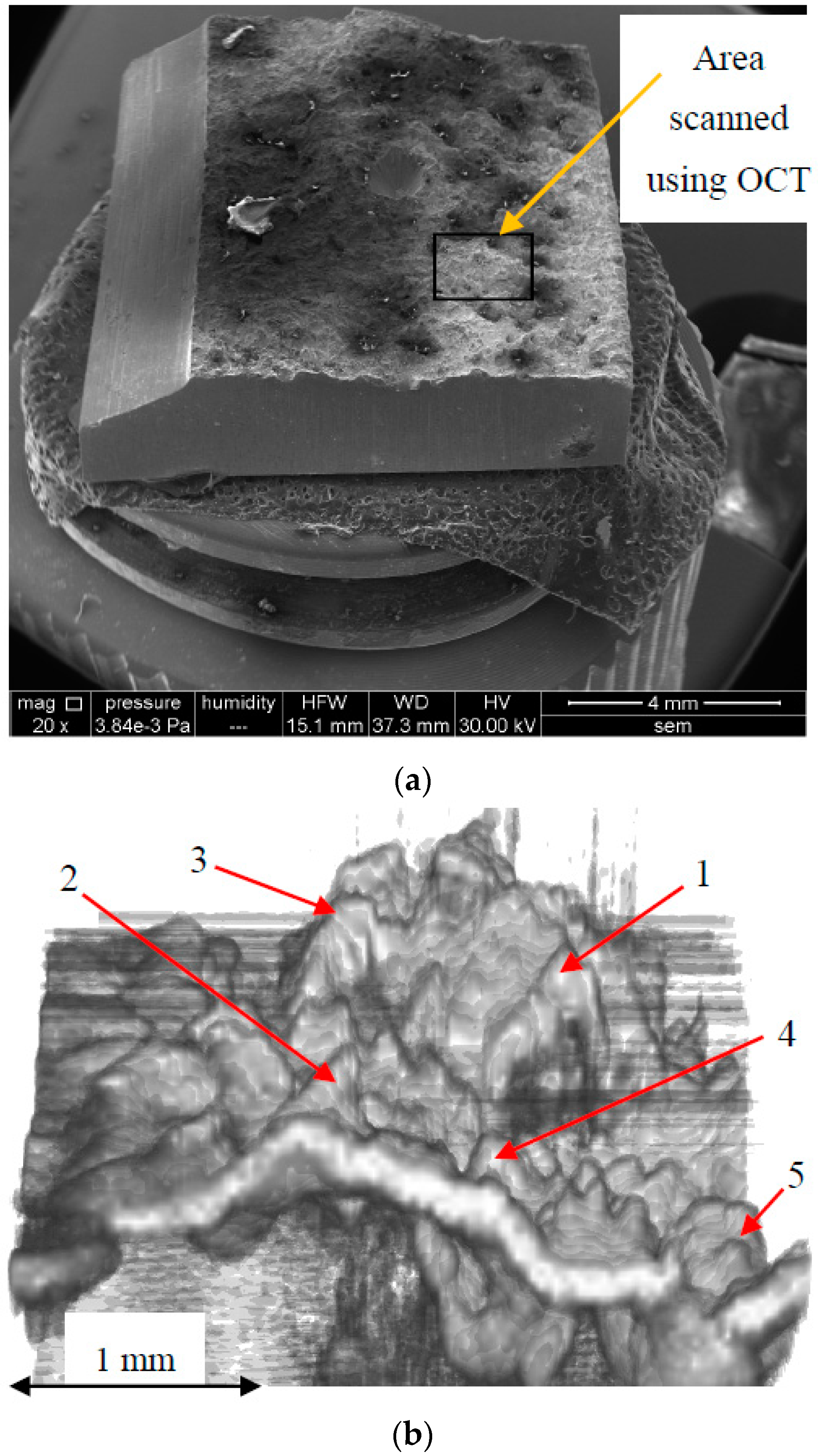 Metals Free Full Text Assessment Of Ductile Brittle And Fatigue