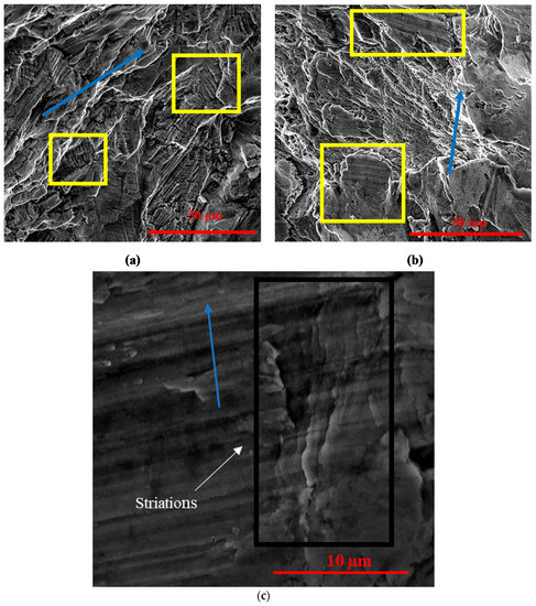 Metals | Special Issue : Failure Analysis of Biometals
