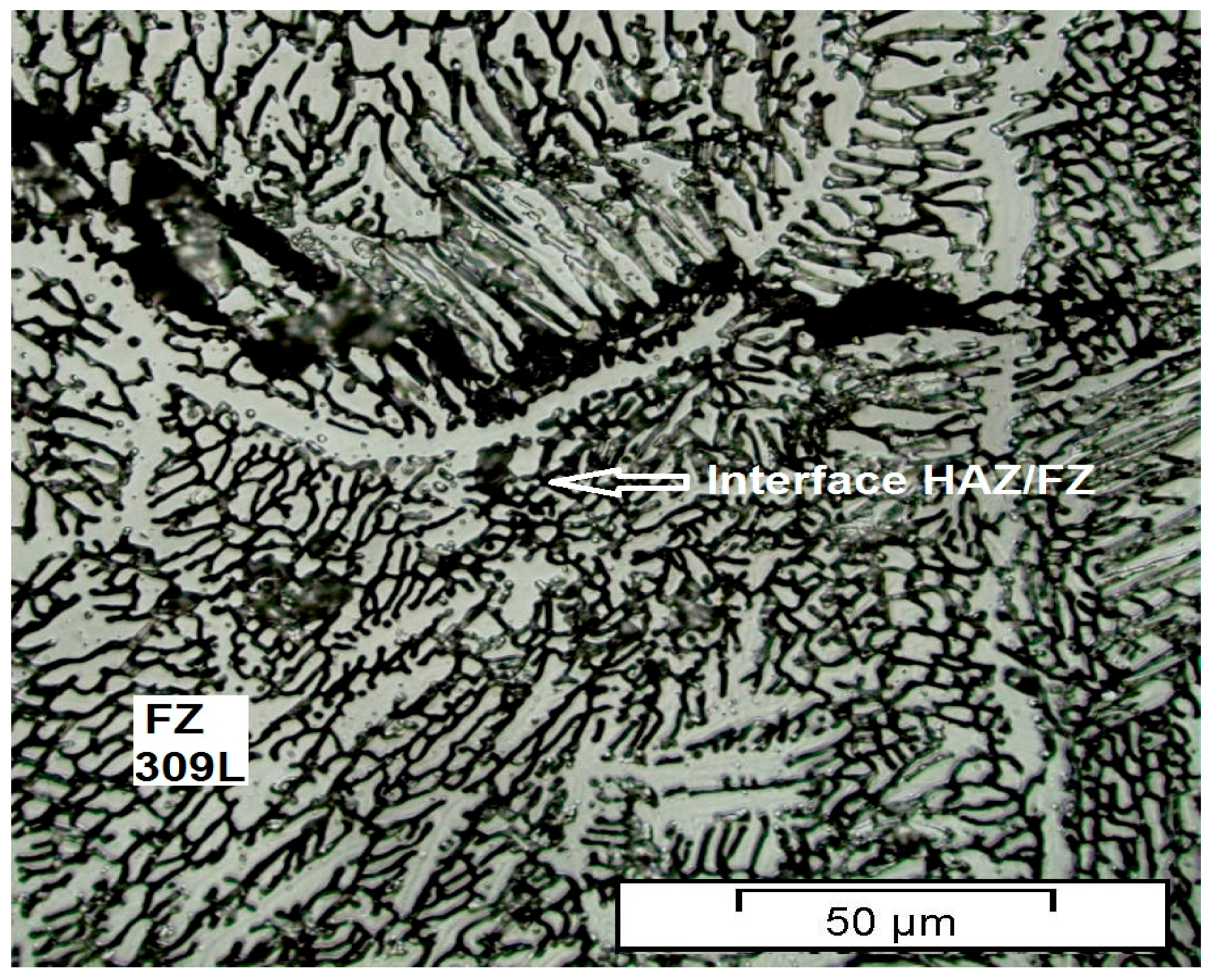 Stress Corrosion Cracking Behaviour of Dissimilar Welding of AISI 310S ...