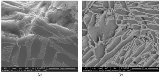 Effect of Basketweave Microstructure on Very High Cycle Fatigue ...