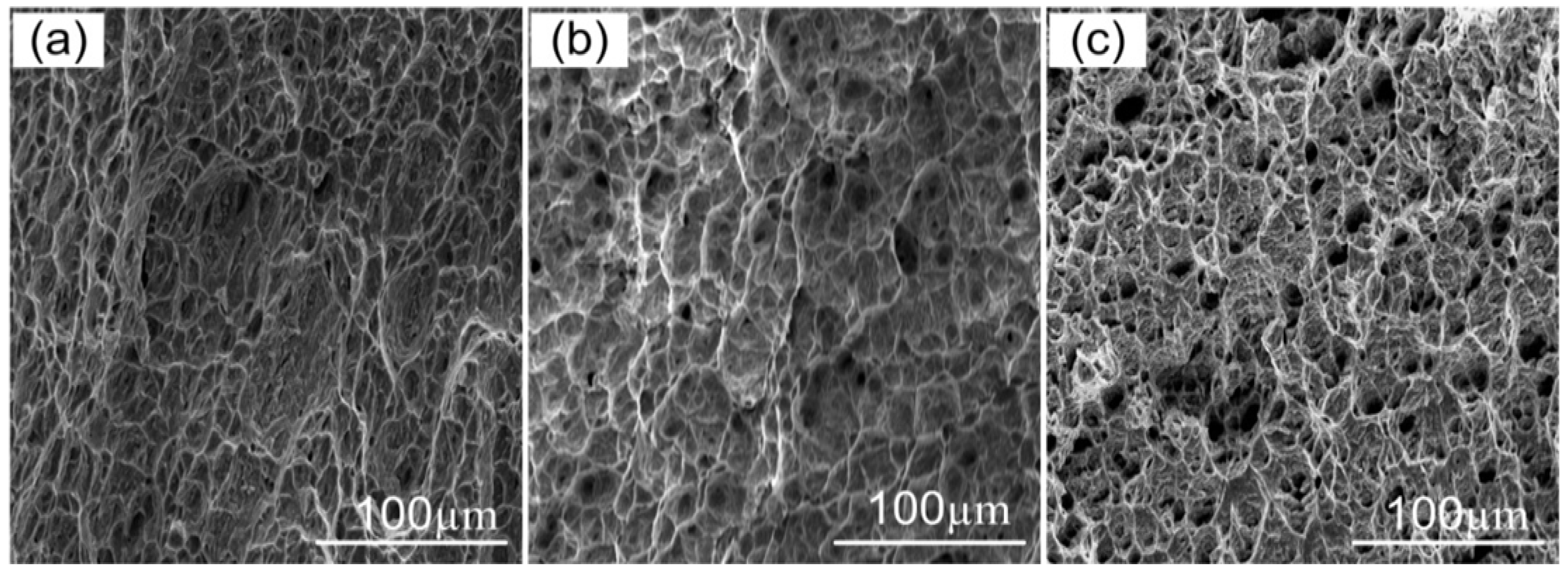 Mechanical Response and Failure Evolution of 304L Stainless Steel under ...