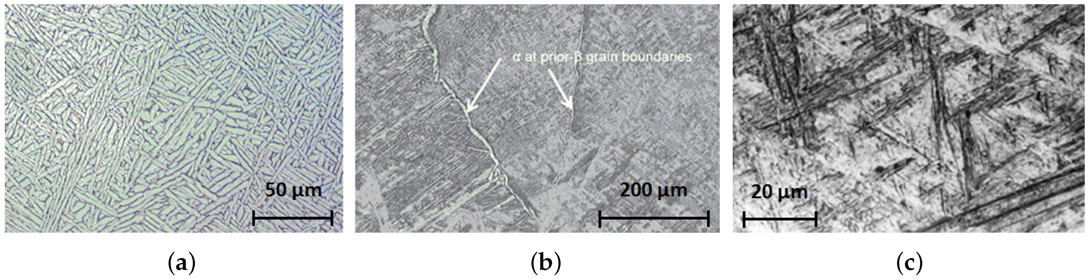 Metals | Free Full-Text | Modeling of Microstructure Evolution of ... Metals | Free Full-Text | Modeling of Microstructure Evolution of ...