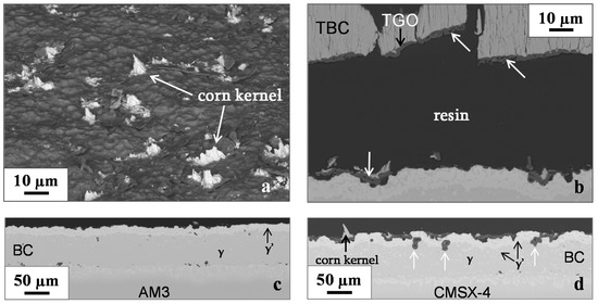 Metals | Special Issue : High-Temperature Corrosion and Oxidation of Metals
