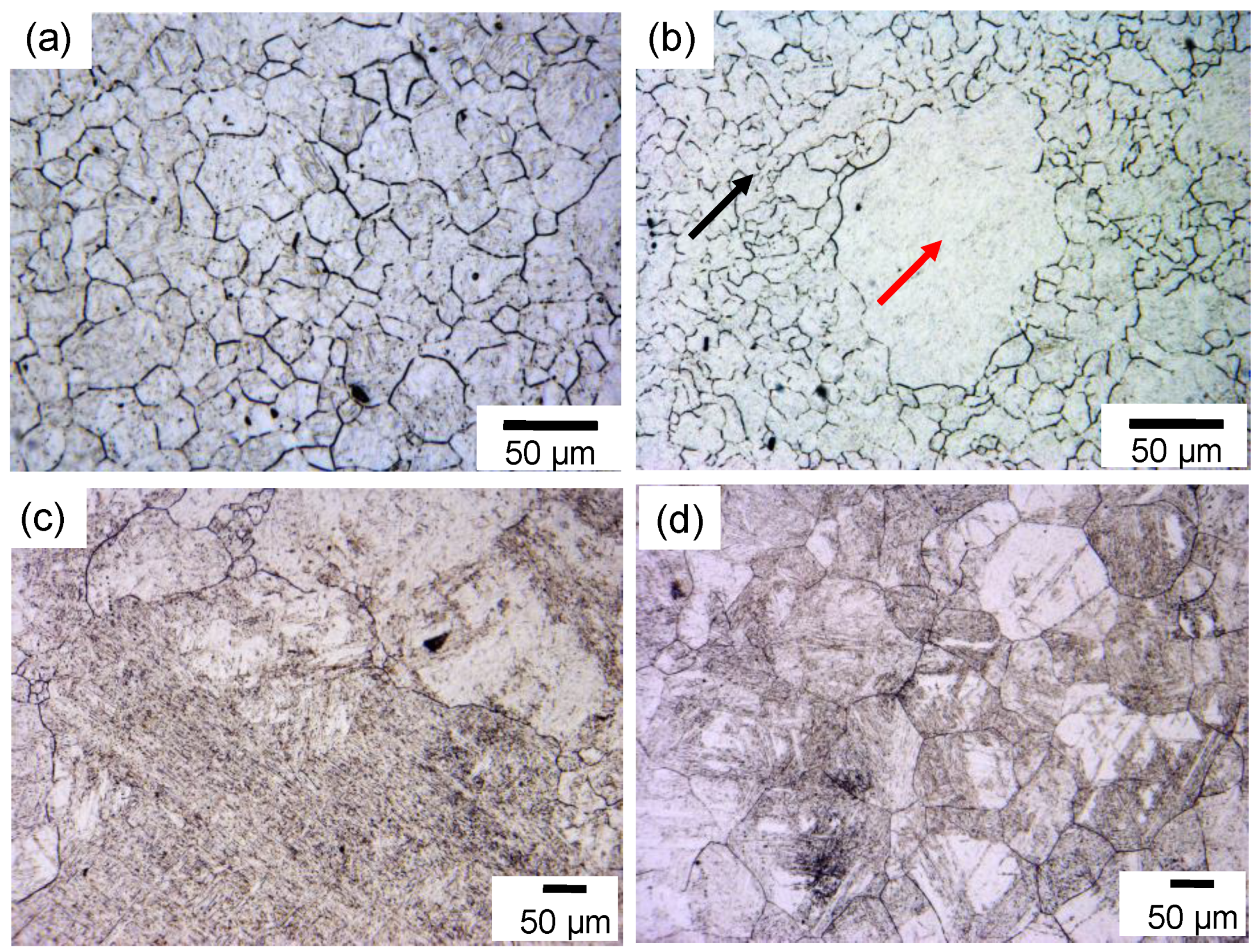 Metals | Free Full-Text | Effect of Cold-Deformation on Austenite Grain ... Metals | Free Full-Text | Effect of Cold-Deformation on Austenite Grain ...
