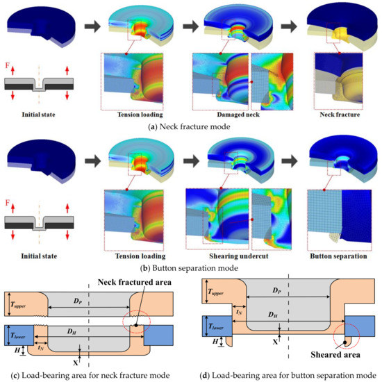 Analysis of Failure-Mode Dependent Joint Strength in Hole Clinching ...