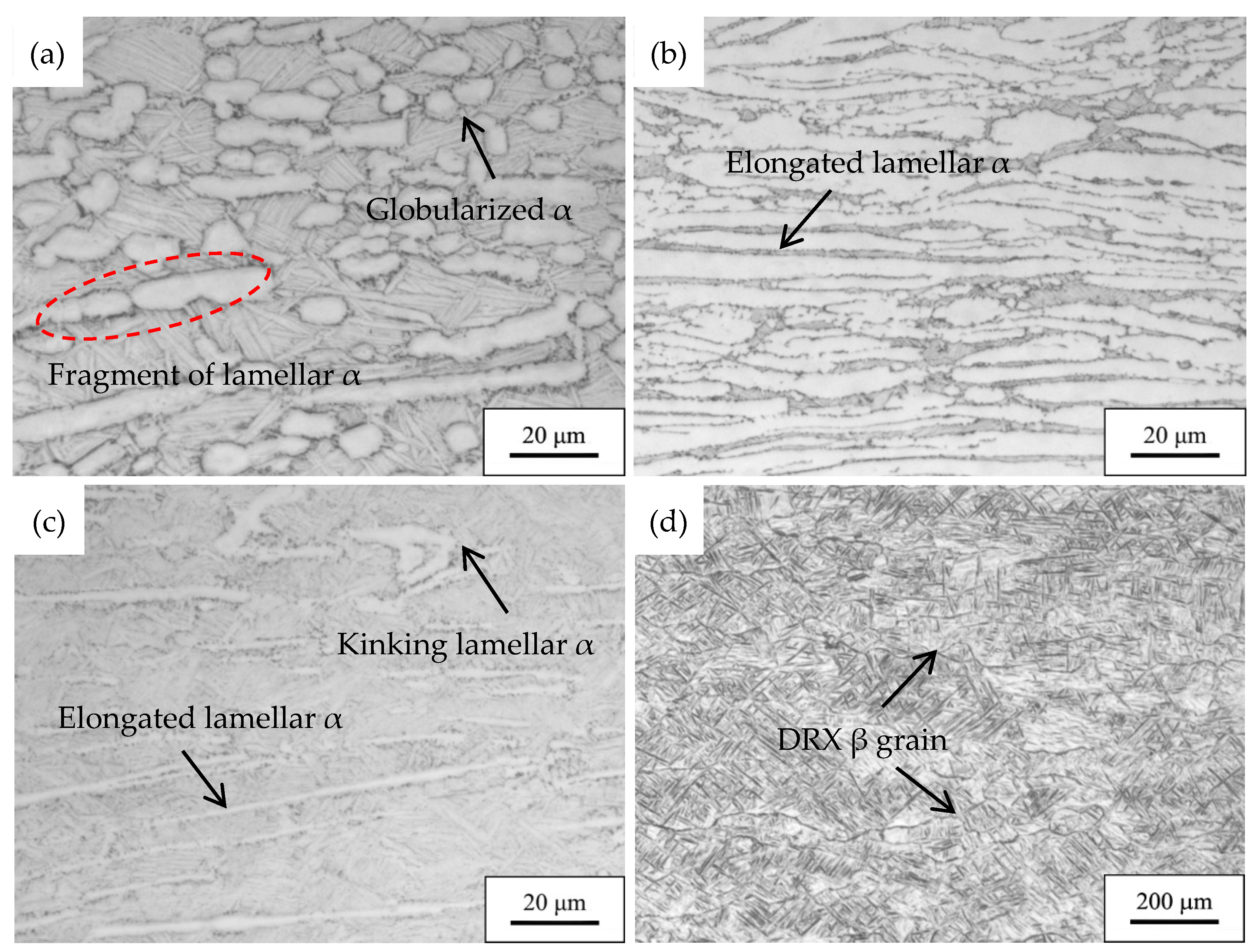 Metals Free Full Text Characterization Of Microstructural Evolution