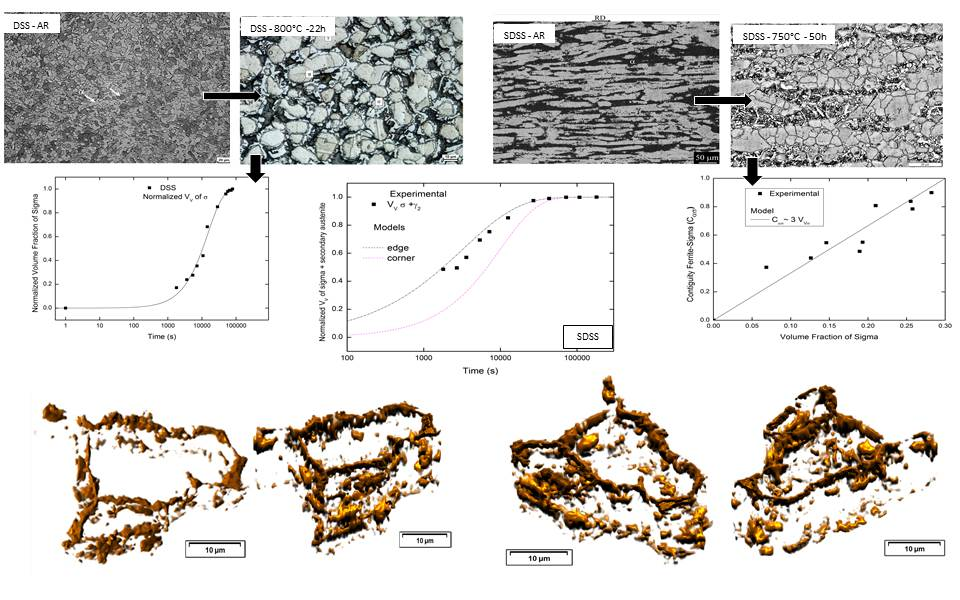 Metals | Free Full-Text | Sigma Phase: Nucleation and Growth