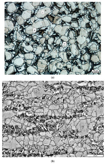 Sigma Phase: Nucleation and Growth