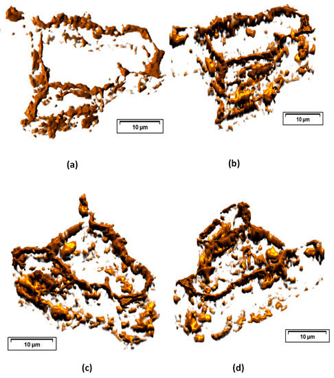 Sigma Phase: Nucleation and Growth