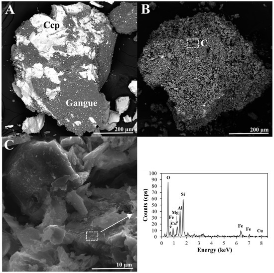 Bioleaching for Copper Extraction of Marginal Ores from the Brazilian ...