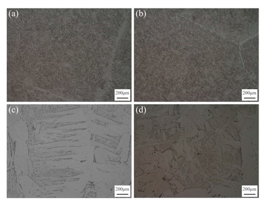 Inclusion and Microstructure Characteristics in a Steel Sample with ...