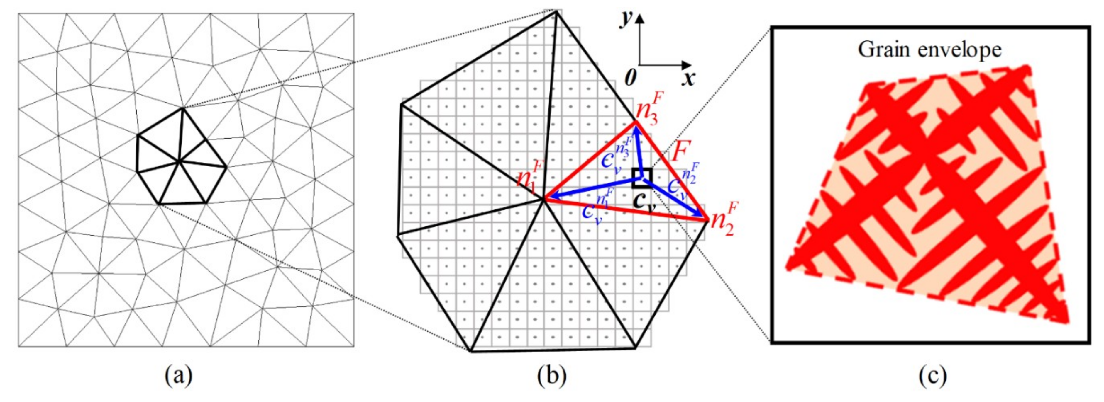 Metals Free Full Text Direct Macroscopic Modeling Of Grain Structure And Macrosegregation