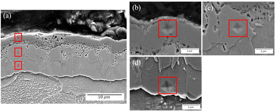 Metals | Special Issue : Surface Treatment Technology of Metals and Alloys