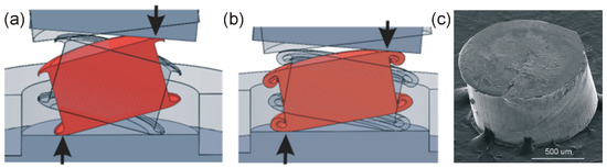 Metals | Special Issue : Metal Micro-forming