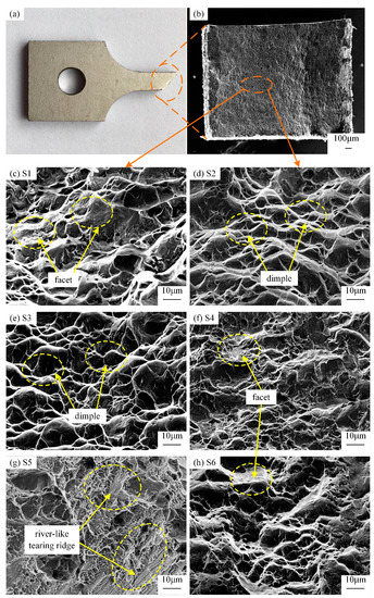 The Effect of Initial Annealing Microstructures on the Forming ...