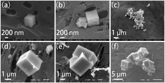 Transient Evolution of Inclusions during Al and Ti Additions in Fe-20 ...