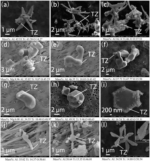 Transient Evolution of Inclusions during Al and Ti Additions in Fe-20 ...