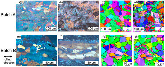 Fatigue Behavior of Metastable Austenitic Stainless Steels in LCF, HCF ...