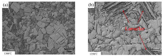 Metals | Special Issue : Advances in Powder Metallurgy