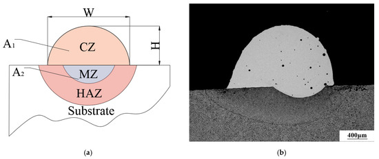 Investigation of Geometric Characteristics in Curved Surface Laser ...