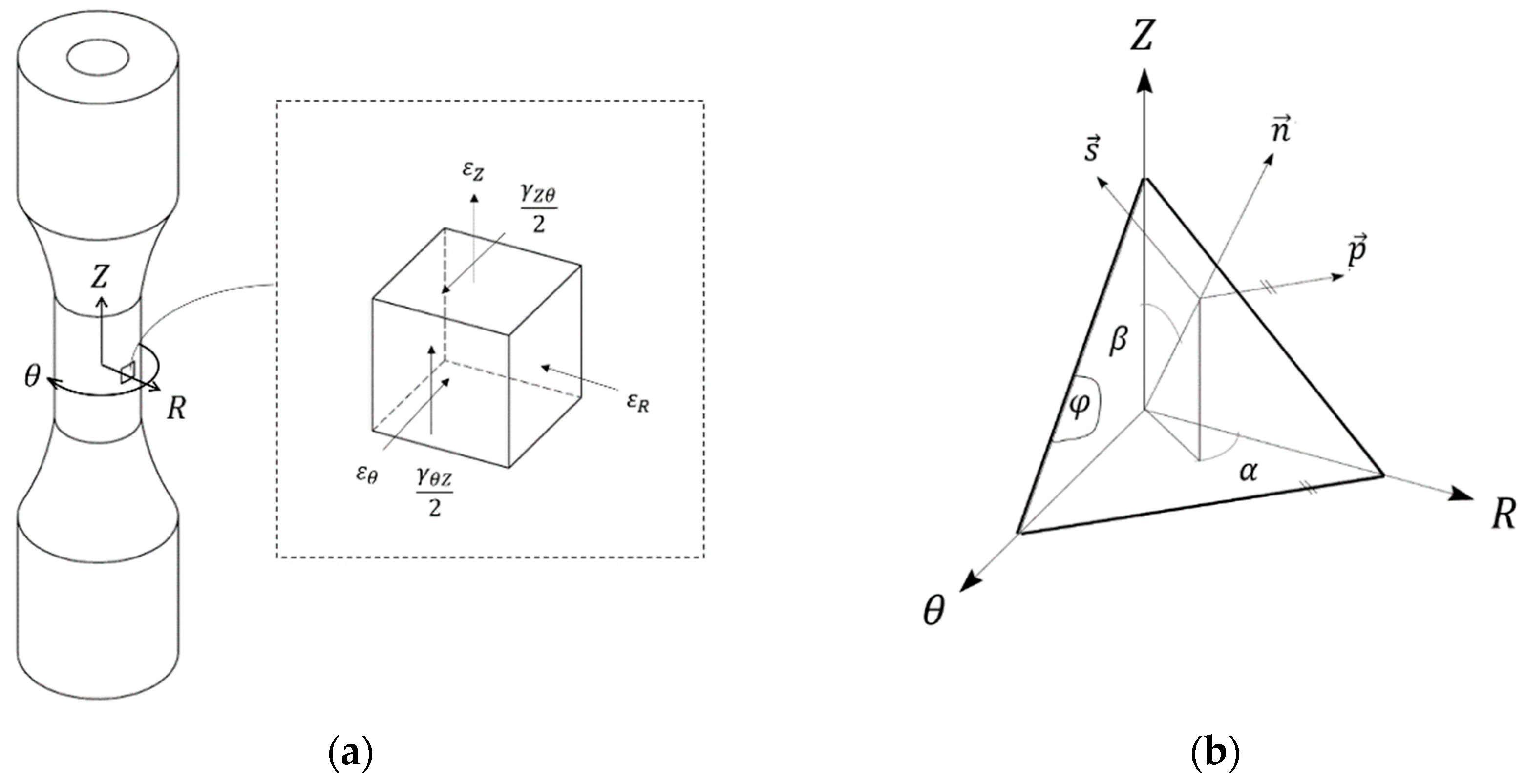 On the Behaviour of 316 and 304 Stainless Steel under Multiaxial ...