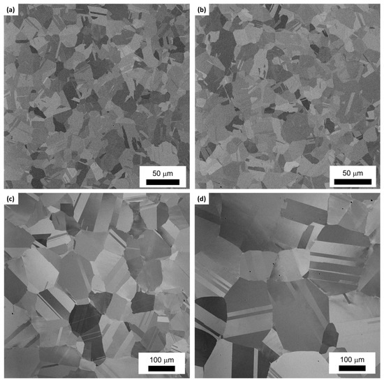 On the Grain Growth Kinetics of a Low Density Steel