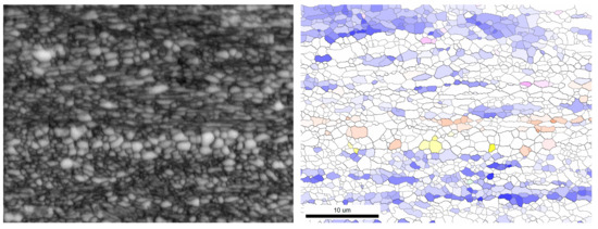 Orientation Independent and Dependent Subgrain Growth during Iso ...