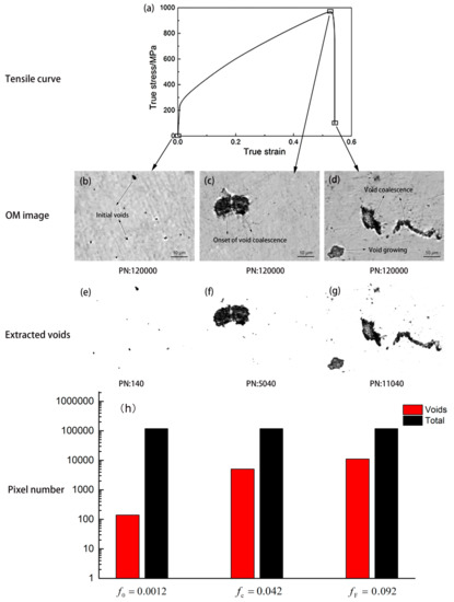 Effect of Stress Triaxiality on Plastic Damage Evolution and Failure ...