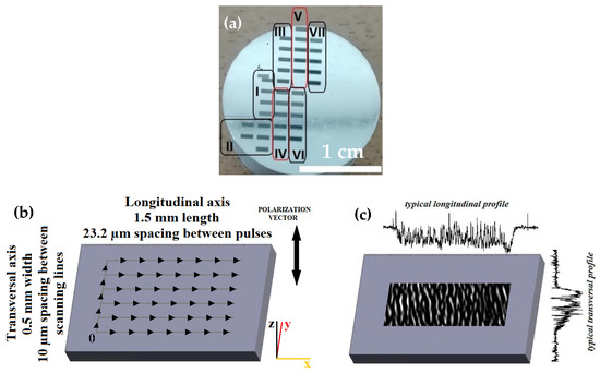 FIB-SEM Investigation of Laser-Induced Periodic Surface Structures and ...