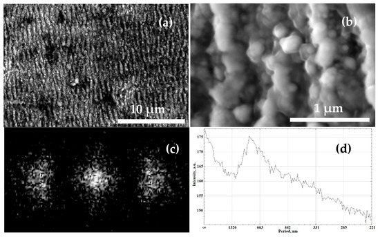 FIB-SEM Investigation of Laser-Induced Periodic Surface Structures and ...