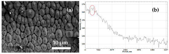 FIB-SEM Investigation of Laser-Induced Periodic Surface Structures and ...