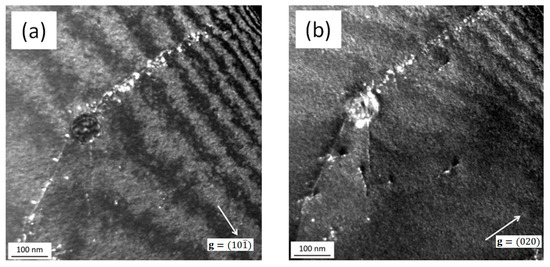 Metals | Special Issue : Radiation Damage in Metals and Alloys