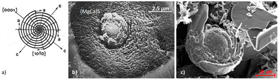 Recent Developments in Understanding Nucleation and Crystallization of ...