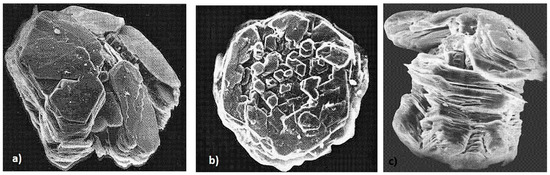 Recent Developments in Understanding Nucleation and Crystallization of ...