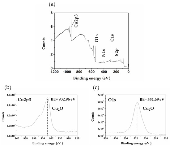 Copper Corrosion Behavior in Simulated Concrete-Pore Solutions