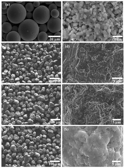 Microstructure and Mechanical Properties of Titanium–Equine Bone ...