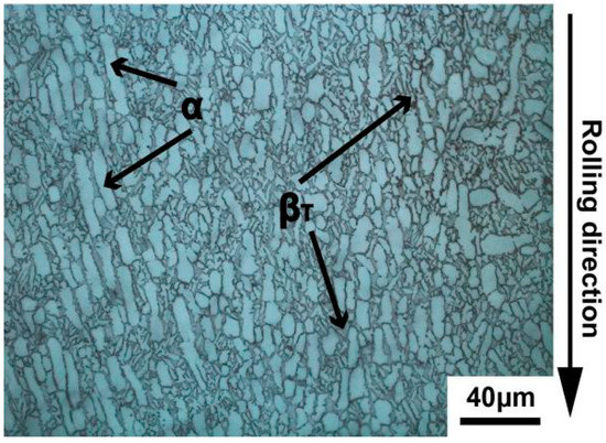Correlation between Microstructure and Mechanical Properties of Heat-Treated Ti–6Al–4V with Fe ...