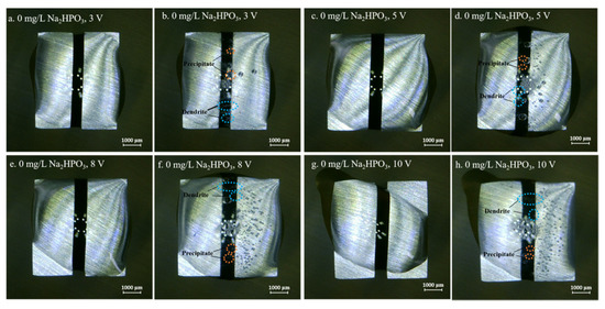 Electrochemical Migration Inhibition of Tin by Disodium Hydrogen ...