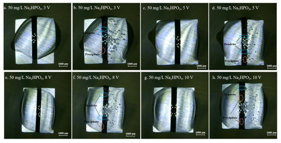 Electrochemical Migration Inhibition of Tin by Disodium Hydrogen ...
