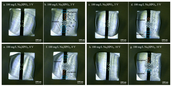 Electrochemical Migration Inhibition of Tin by Disodium Hydrogen ...
