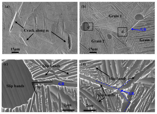 Improvement of the Crack Propagation Resistance in an α + β Titanium ...