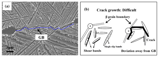 Improvement of the Crack Propagation Resistance in an α + β Titanium ...
