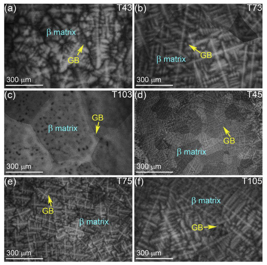 Recent Development in Beta Titanium Alloys for Biomedical Applications