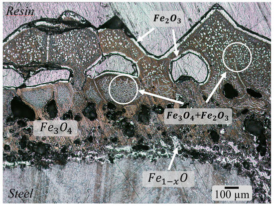 Scale Formation on HSLA Steel during Continuous Casting Part II: The ...